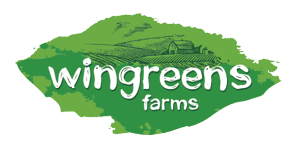 AG Ventures – Accelerating Growth